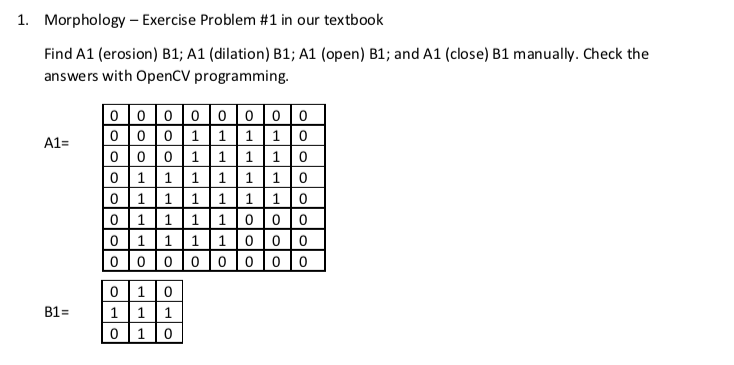 Solved Morphology-Exercise Problem #1 in our textbook Find | Chegg.com