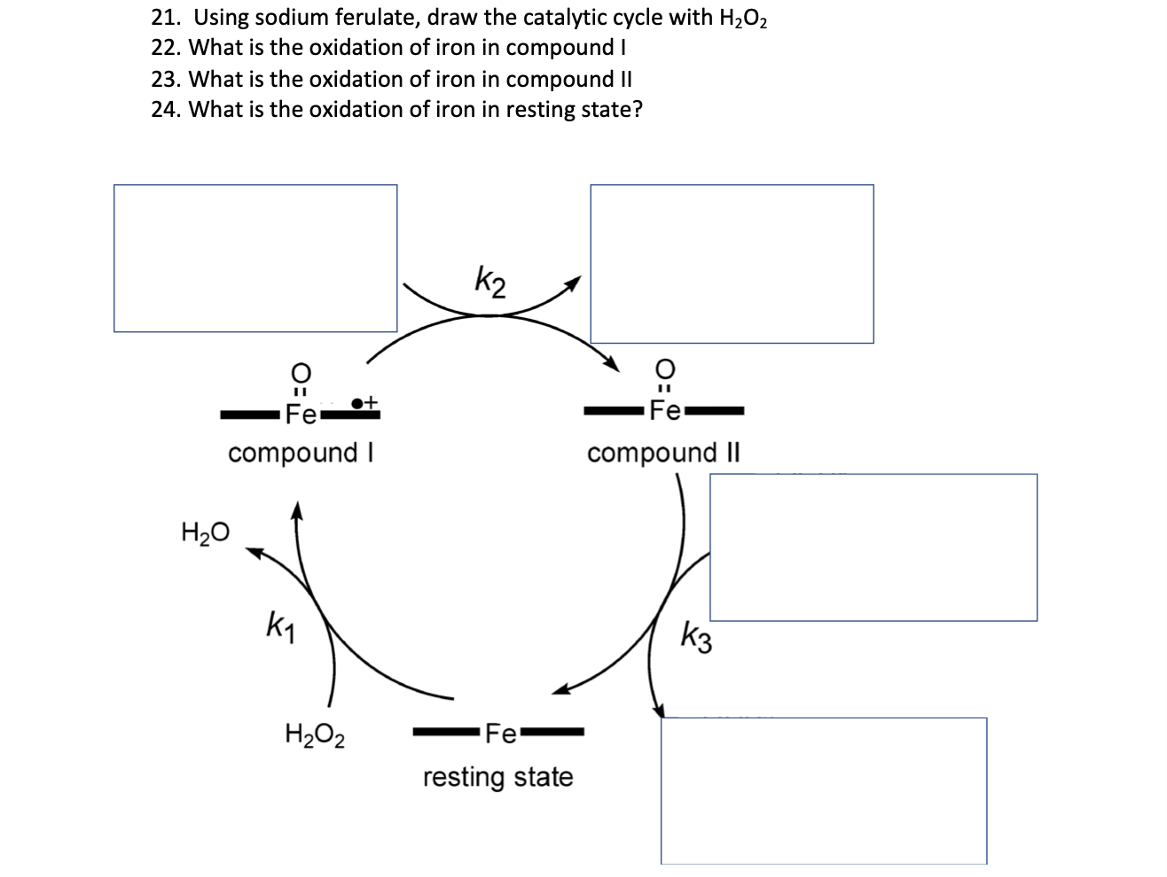 Solved 21. Using sodium ferulate, draw the catalytic cycle | Chegg.com