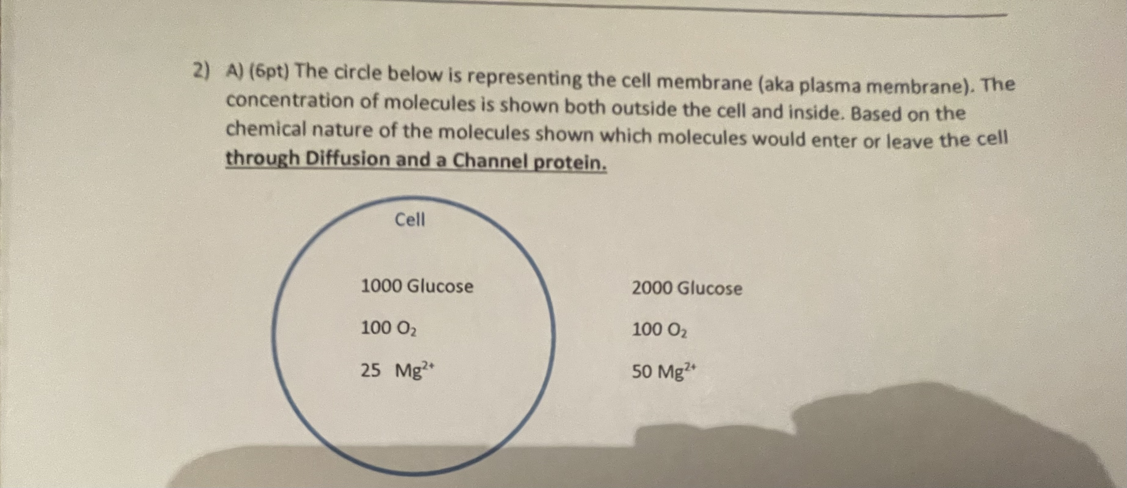 Solved A) (6pt) The circle below is representing the cell | Chegg.com