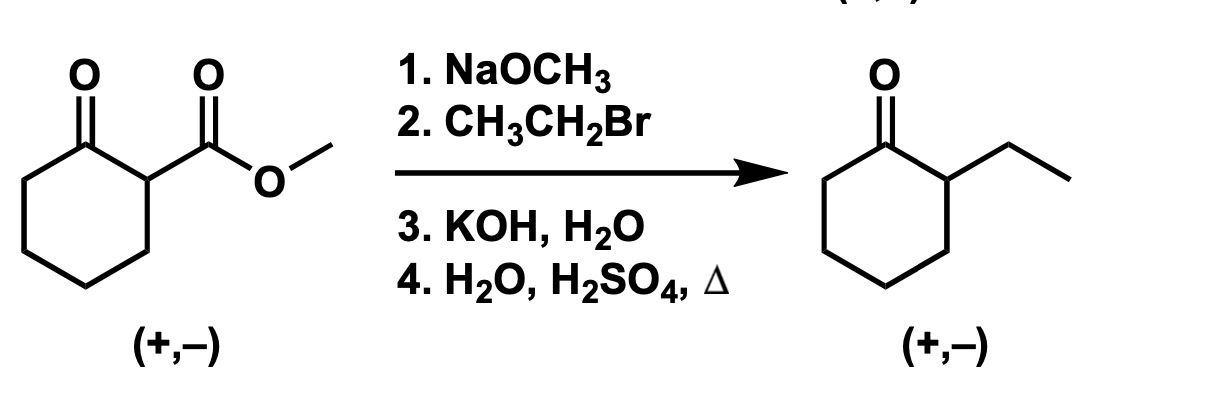 Solved 1. NaOCH3 2. CH3CH2Br بل 3. KOH, H2O 4. H2O, H2SO4, A | Chegg.com