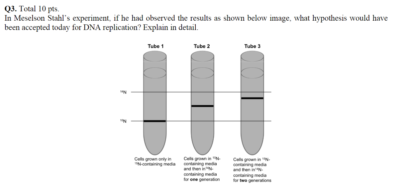 Solved Q3. Total 10 pts. In Meselson Stahl's experiment, if | Chegg.com