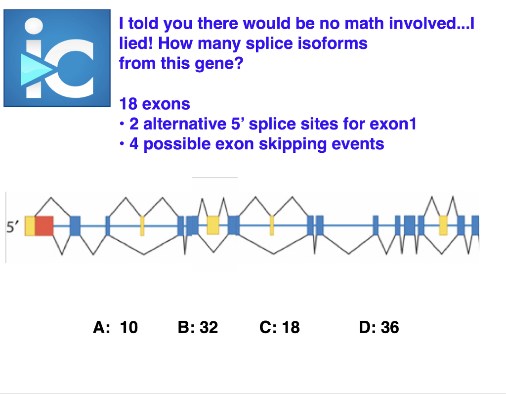 How many splice isoforms from this gene? There are 18 | Chegg.com