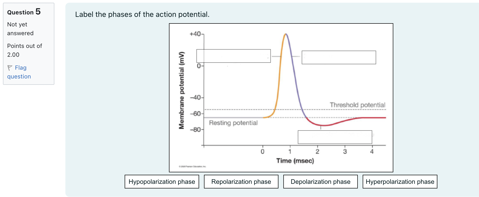 Solved Why are action potentials usually conducted in one | Chegg.com