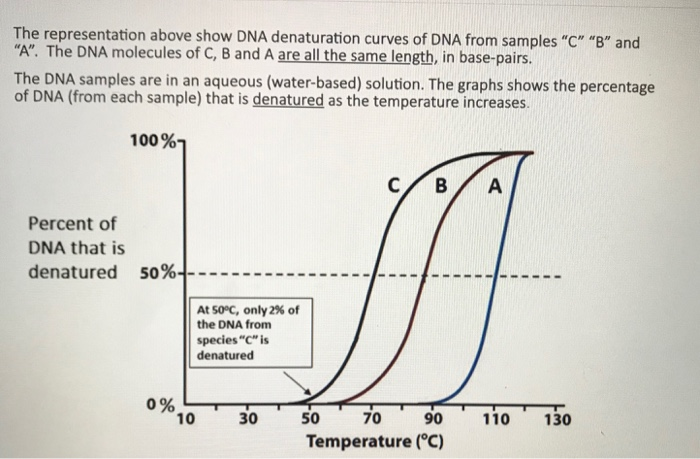 Solved The Representation Above Show Dna Denaturation Curves