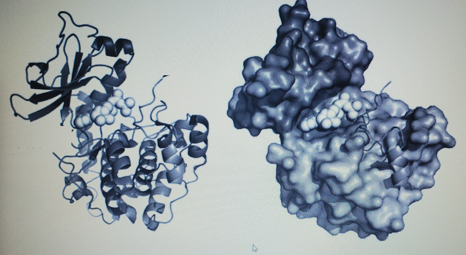 These diagrams show two diffrent ways of showing the | Chegg.com