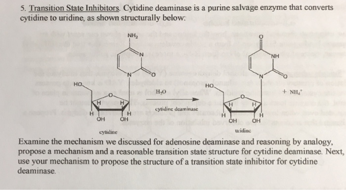 Solved 5. Transition State Inhibitors. Cytidine deaminase is | Chegg.com