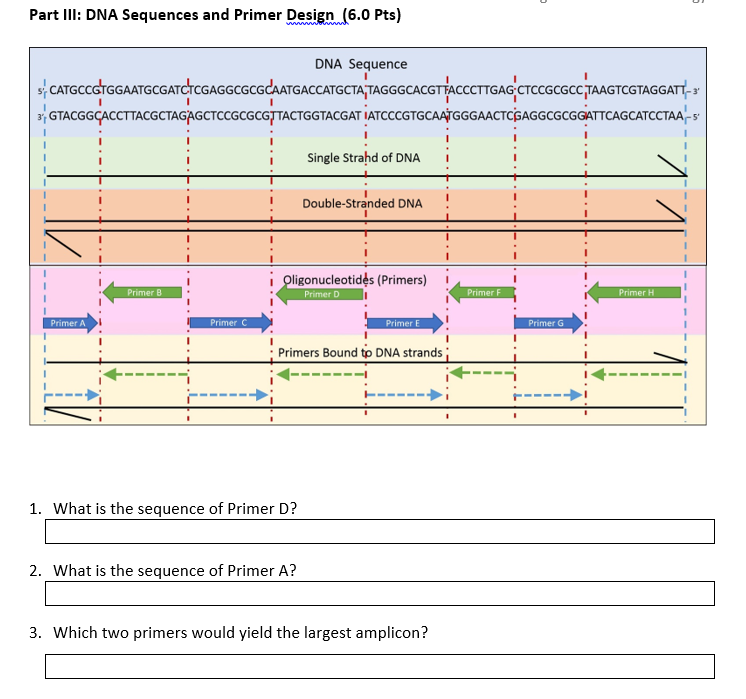 Solved Part III: DNA Sequences and Primer Design (6.0 Pts) | Chegg.com