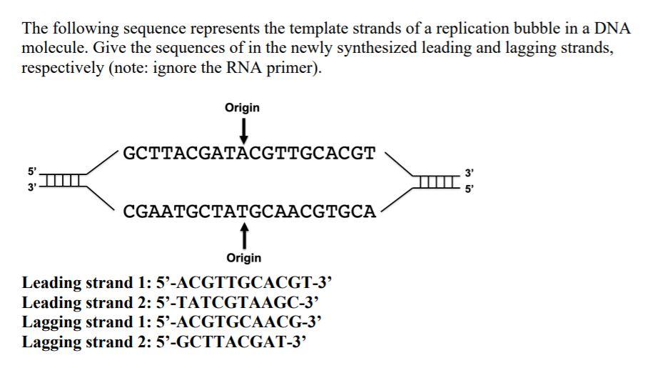 Solved What are the rules for finding these two sets of | Chegg.com