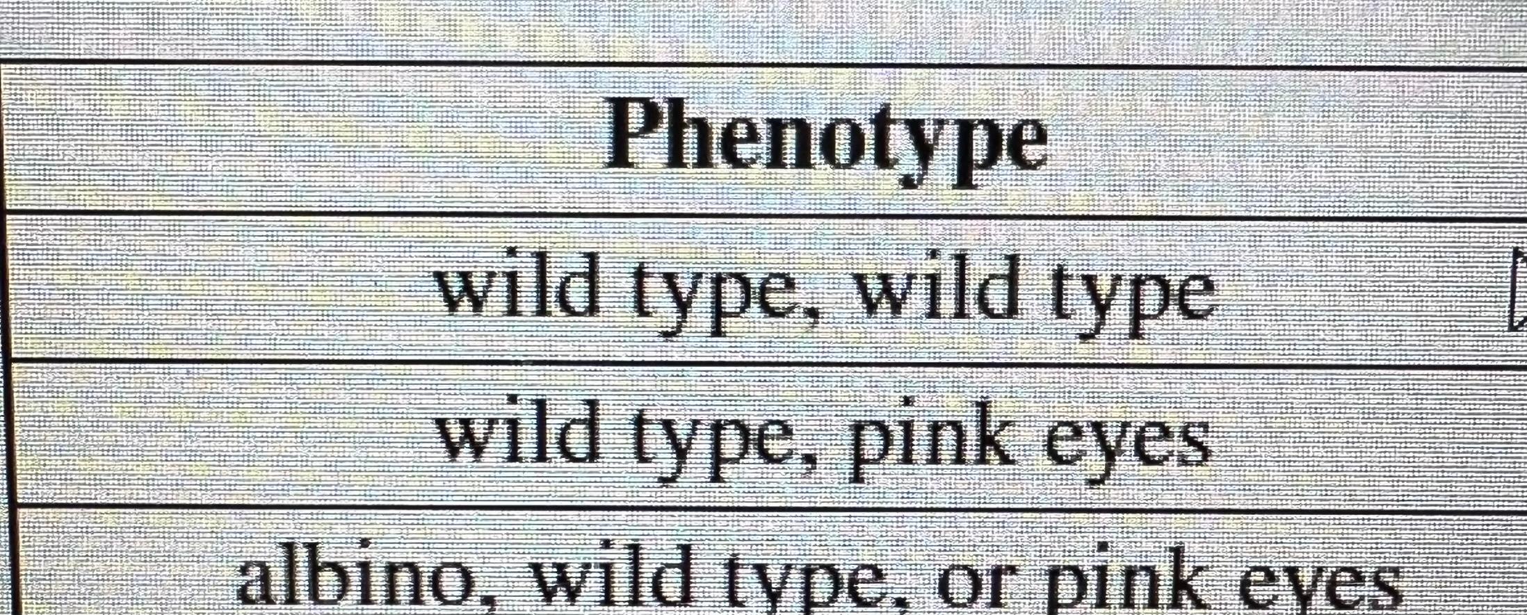 Solved Pink-eye and albinism are two recessive traits found | Chegg.com