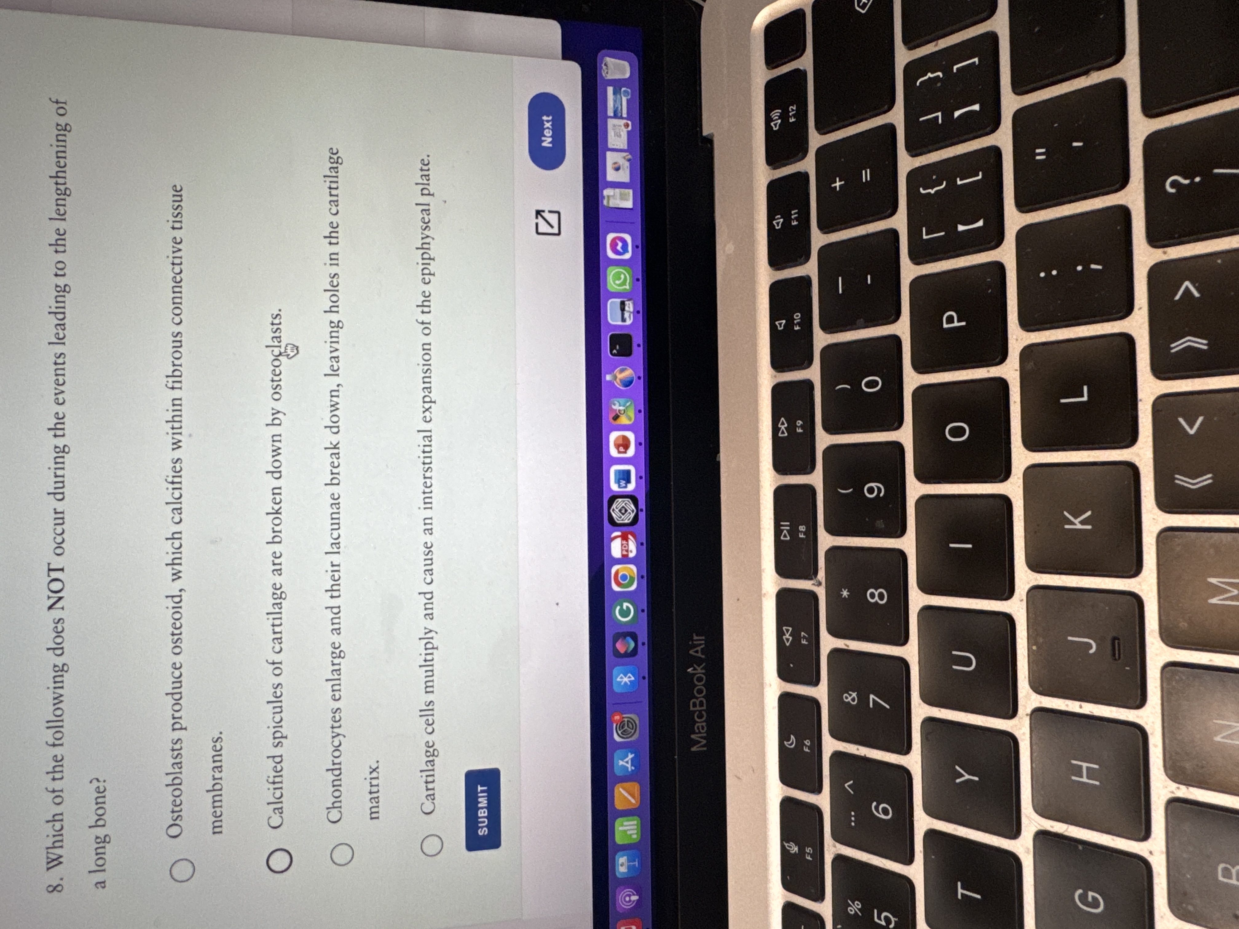 Solved 8. ﻿Which of the following does NOT occur during the | Chegg.com