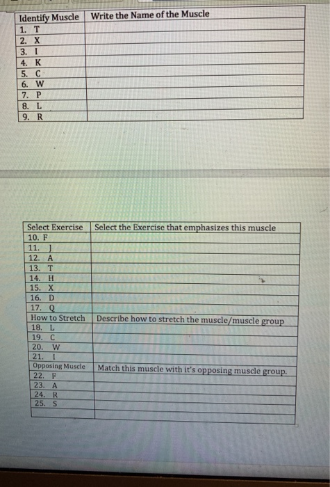 Solved Directions: Utilize the following word bank to fill | Chegg.com