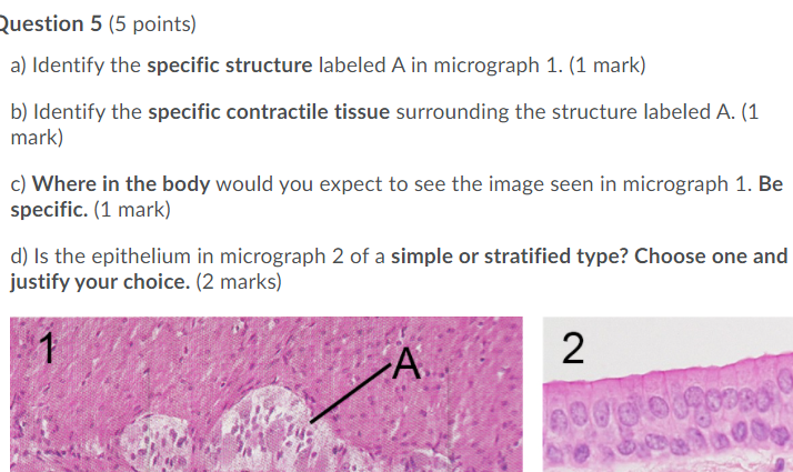 Solved Question 5 (5 points) a) Identify the specific | Chegg.com