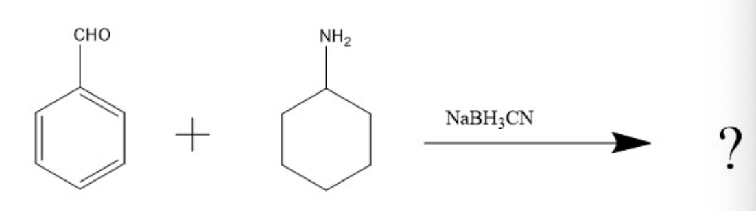 Solved CHO NH2 NaBH3CN + ? | Chegg.com