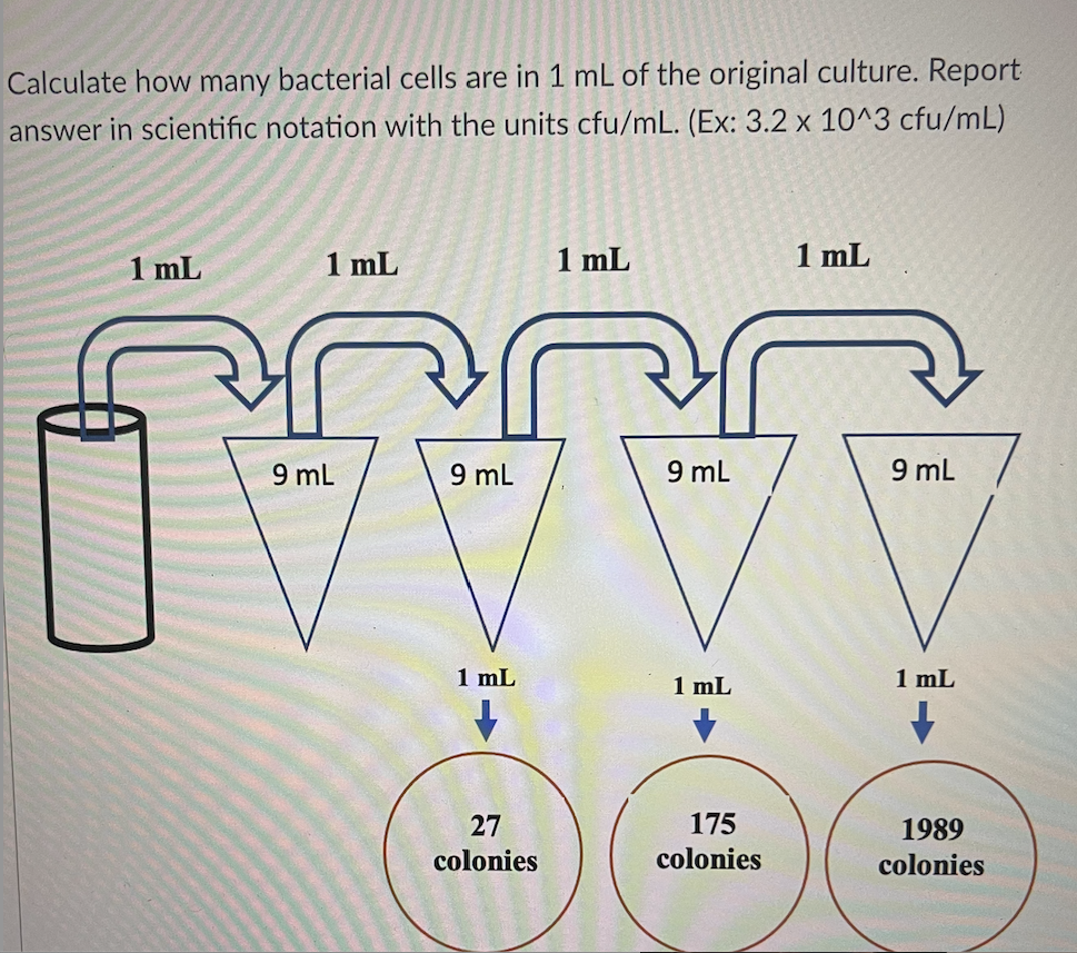 Solved Calculate how many bacterial cells are in 1 mL of the | Chegg.com