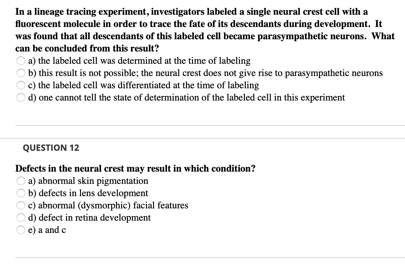 Solved In a lineage tracing experiment, investigators | Chegg.com