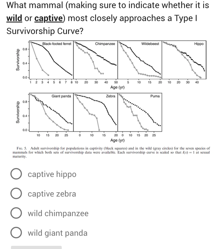 Solved What mammal (making sure to indicate whether it | Chegg.com