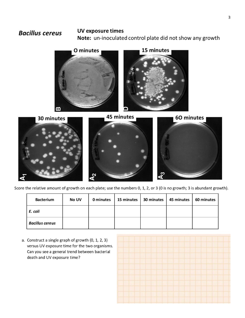 Solved Name TA/Lab Period: Lab 9 Handout: Lab Exercises 2=6 | Chegg.com