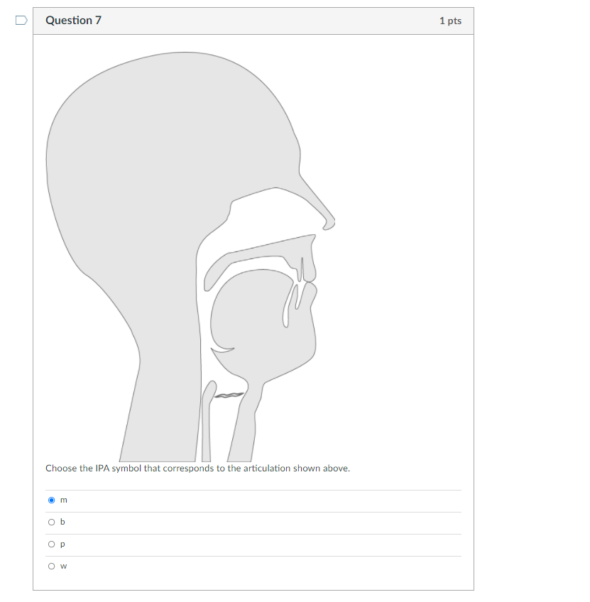Solved Question 5 1 pts Choose the IPA symbol that | Chegg.com