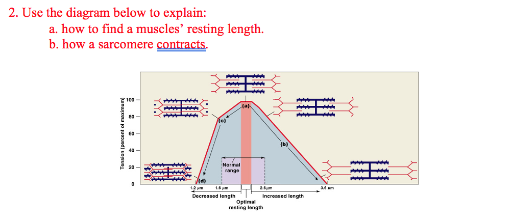 Solved 2. Use the diagram below to explain: a. how to find a | Chegg.com