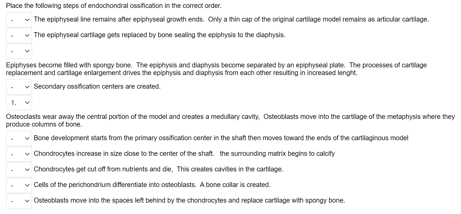 Solved Place the following steps of endochondral | Chegg.com