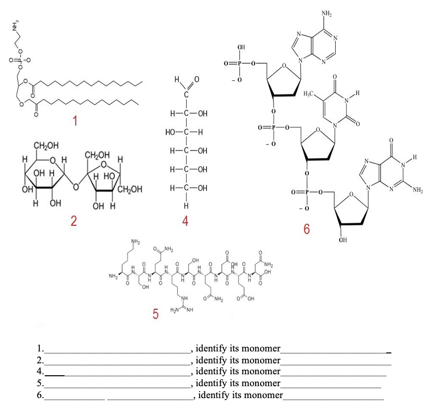 Solved 10. Identify each the following | Chegg.com
