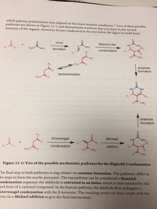 Solved 11 Biginelli Reaction Hy? ZnCl2 EO '? ?. + H2N° i.NH2 | Chegg.com