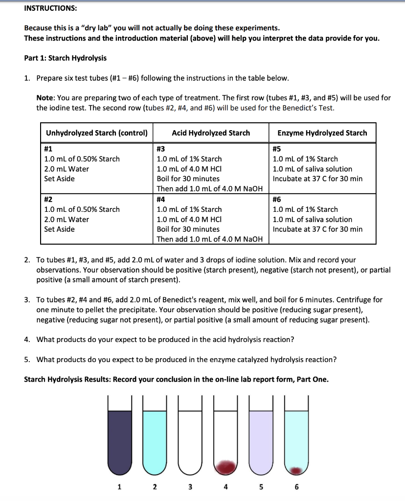 Solved INSTRUCTIONS: Because this is a "dry lab" you will | Chegg.com