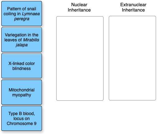 Solved Classify the following as examples of nuclear | Chegg.com