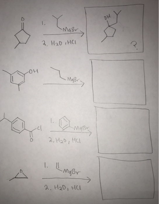Solved Grignard Reactions Directions: Predict | Chegg.com