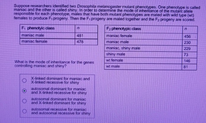 Solved Suppose researchers identified two Drosophila | Chegg.com