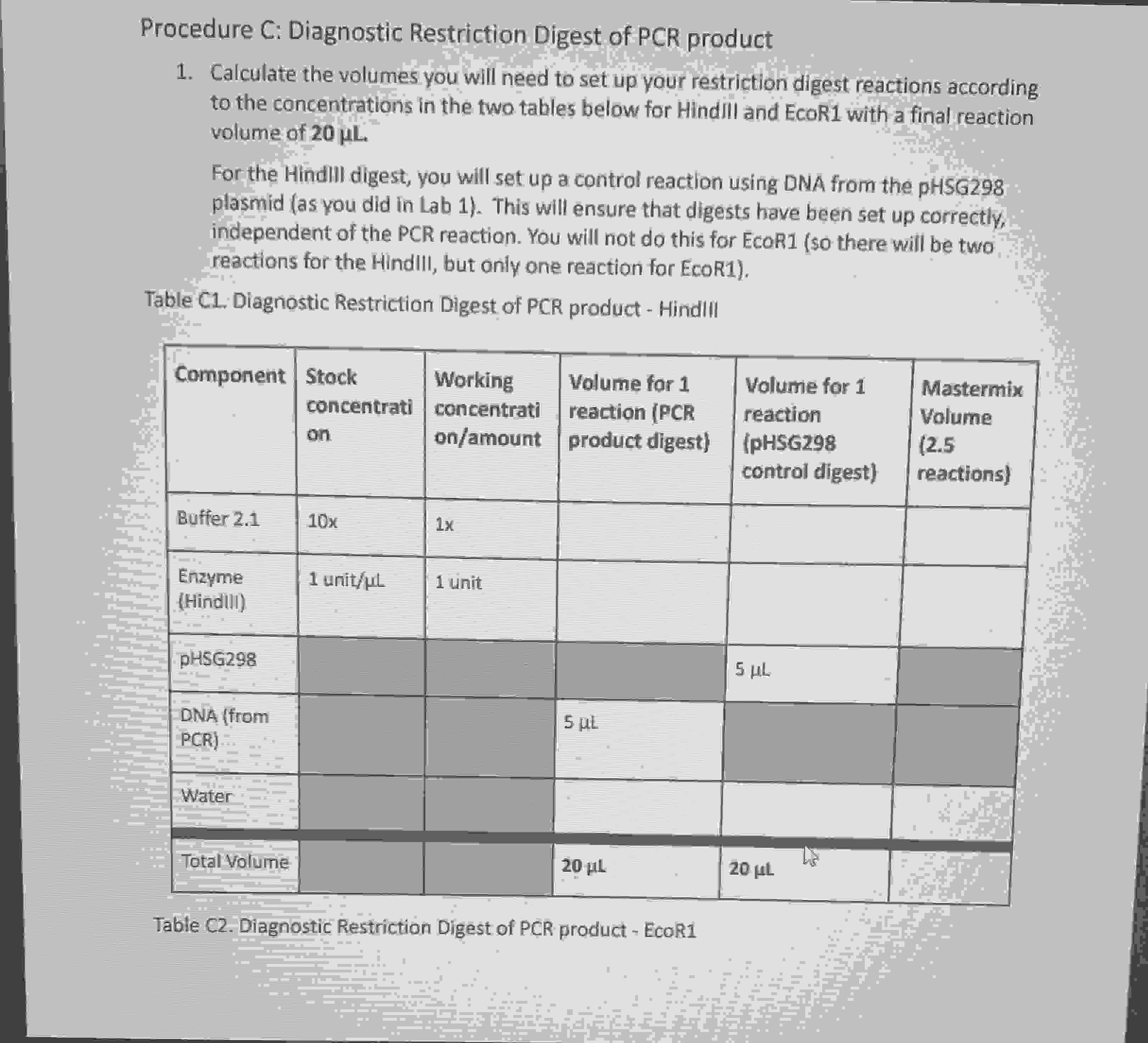 Solved Diagnostic Restriction Digest of PCR productCalculate | Chegg.com