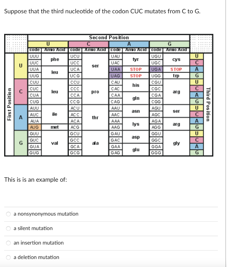 Solved Suppose that the third nucleotide of the codon CUC | Chegg.com