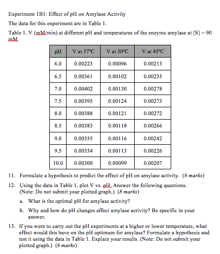 Amylase Enzyme Activity