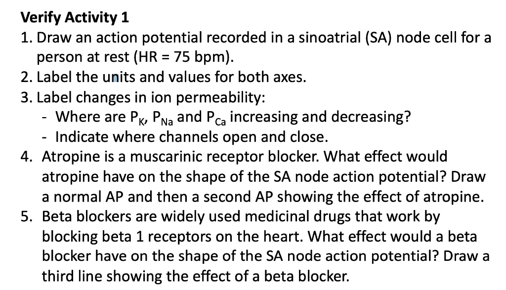 Solved Verify Activity 1 1. Draw an action potential | Chegg.com