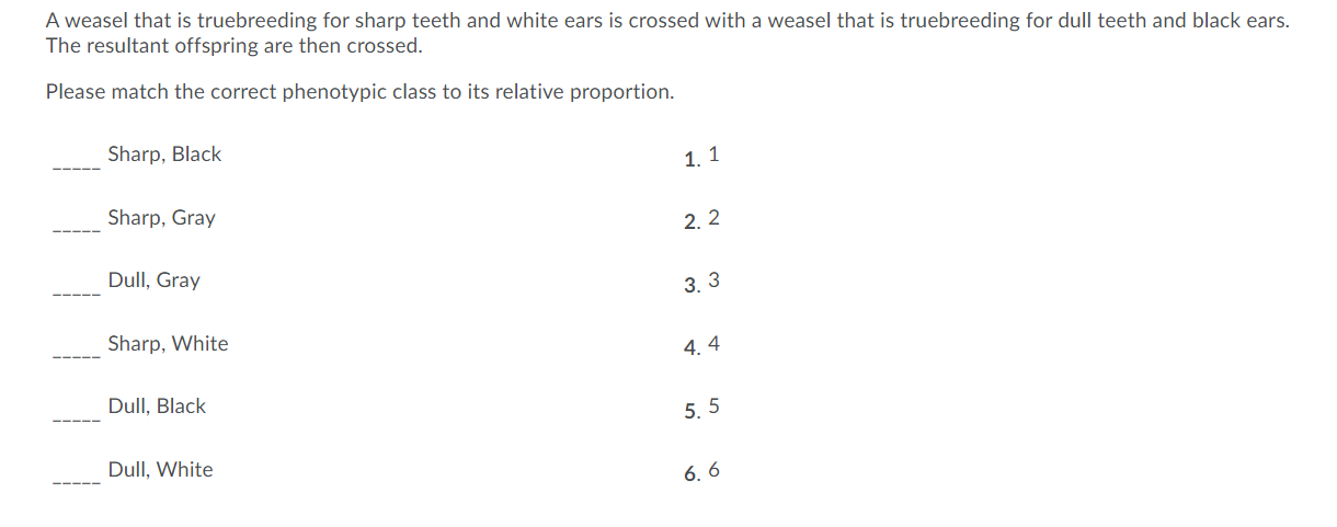 Solved You are following two traits in weasels- teeth shape | Chegg.com