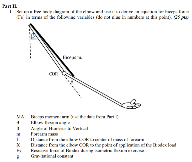 Solved Part II. 1. Set up a free body diagram of the elbow | Chegg.com