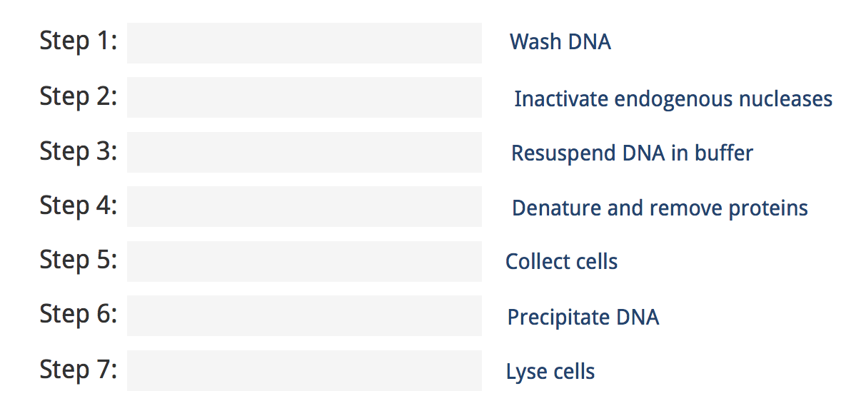 Solved Step 1: Wash DNA Step 2: Inactivate endogenous | Chegg.com