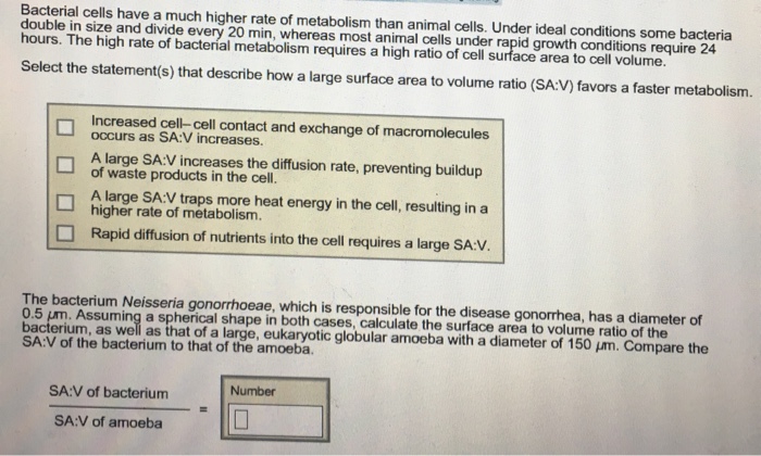 Solved The genetic information contained in DNA consists of | Chegg.com