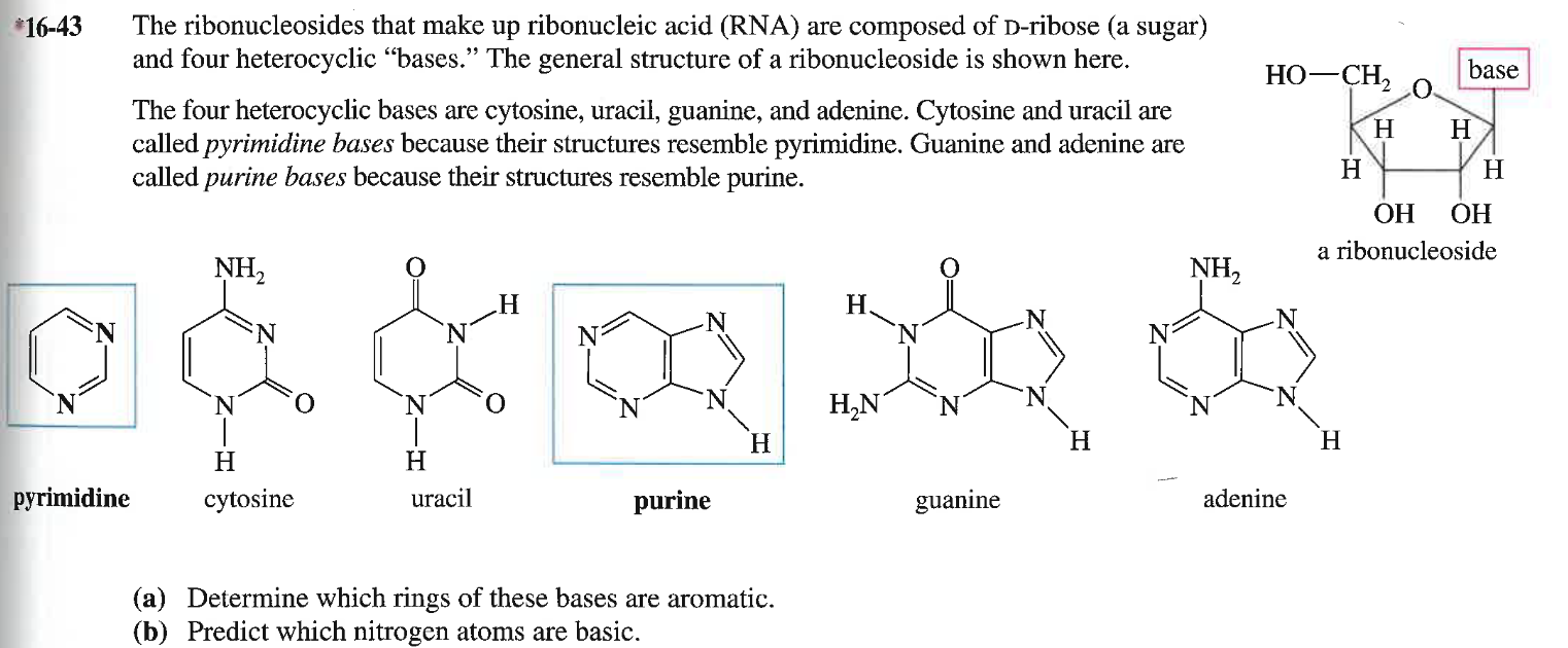 Solved The ribonucleosides that make up ribonucleic acid | Chegg.com