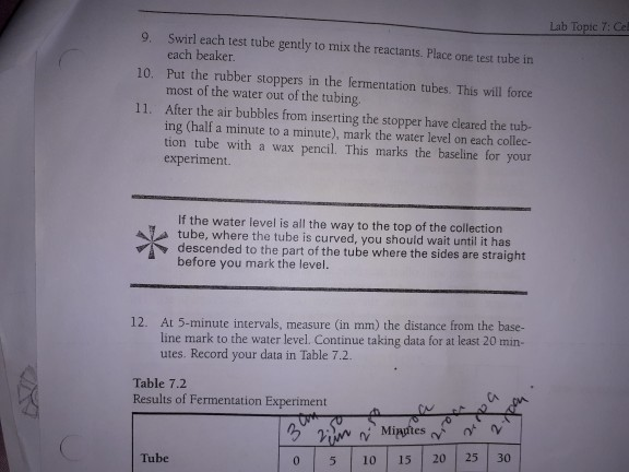 Solved we did alcohohlic fermentation experiment . Procedure | Chegg.com