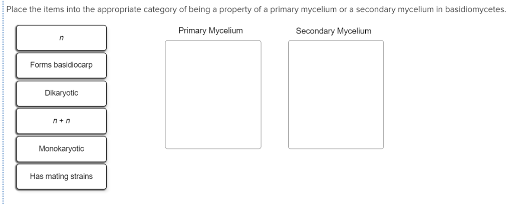 Solved Place the items into the appropriate category of | Chegg.com