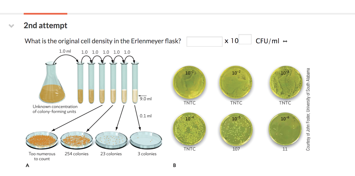 Solved 2nd attempt What is the original cell density in the | Chegg.com