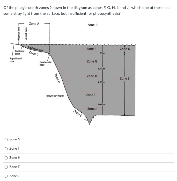 Solved Of the pelagic depth zones (shown in the diagram as | Chegg.com