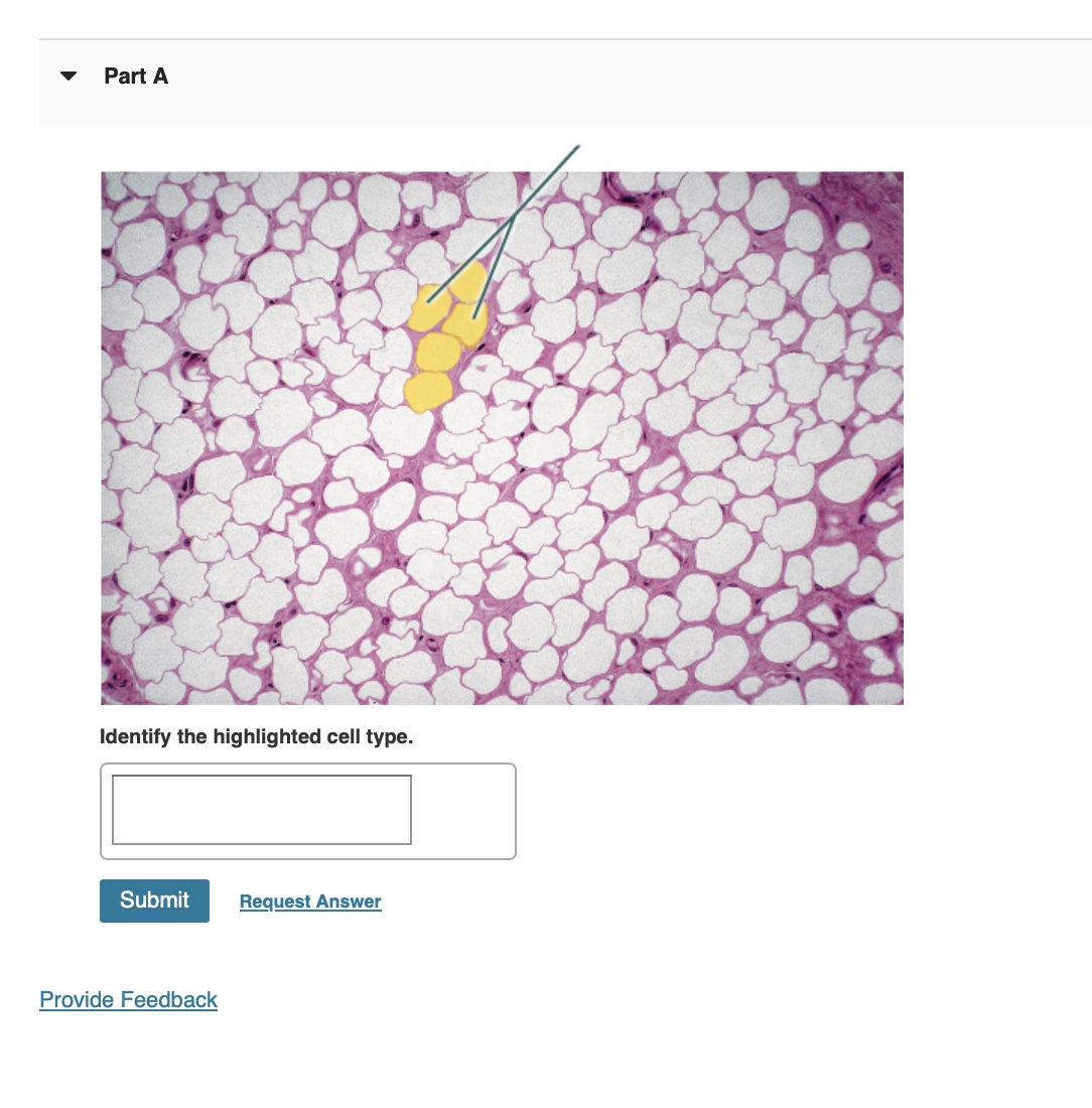 Solved Question | Chegg.com Solved Question | Chegg.com