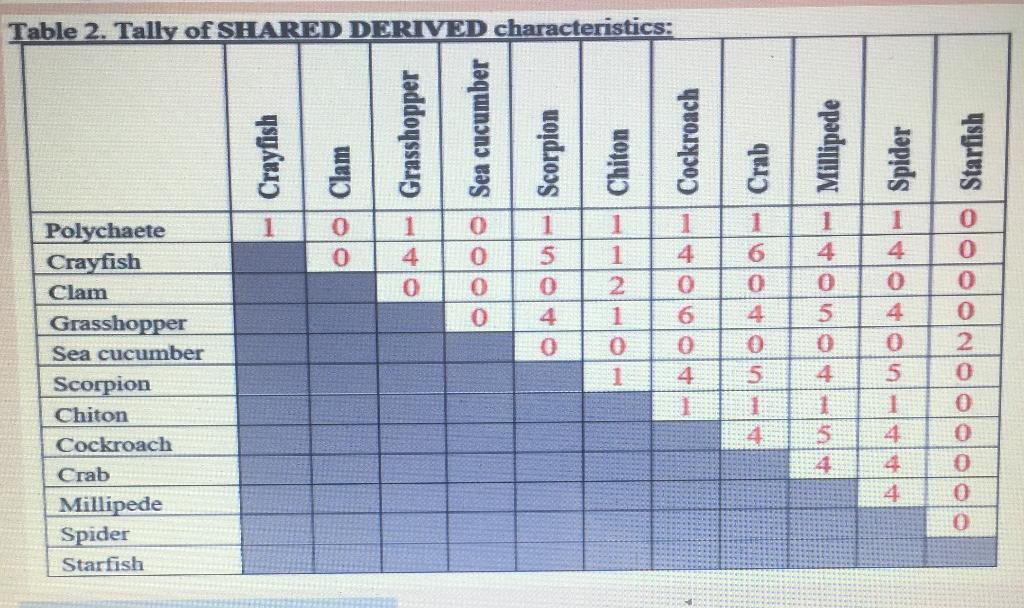 Solved Construct a parsimonious cladogram for the 11 | Chegg.com