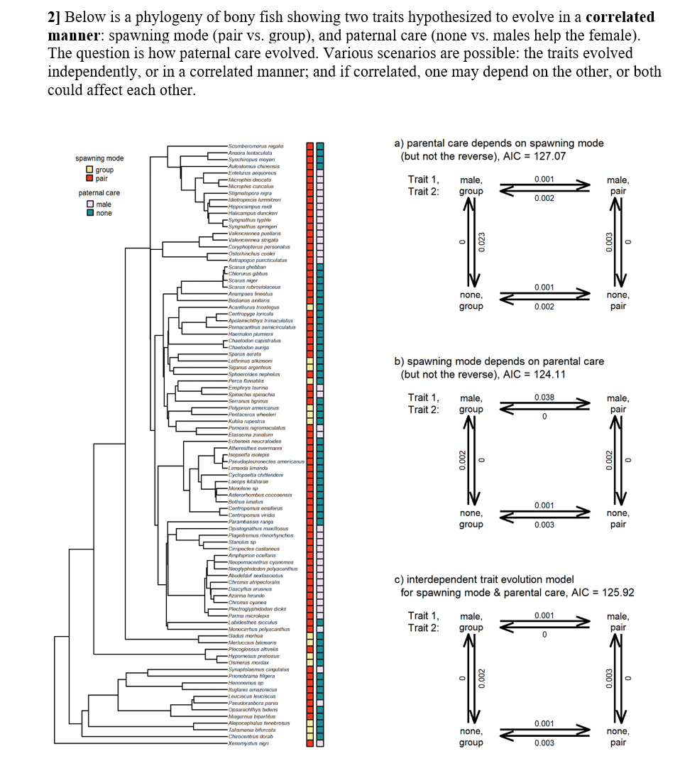 Solved (a) ﻿What would a model of independent evolution look | Chegg.com