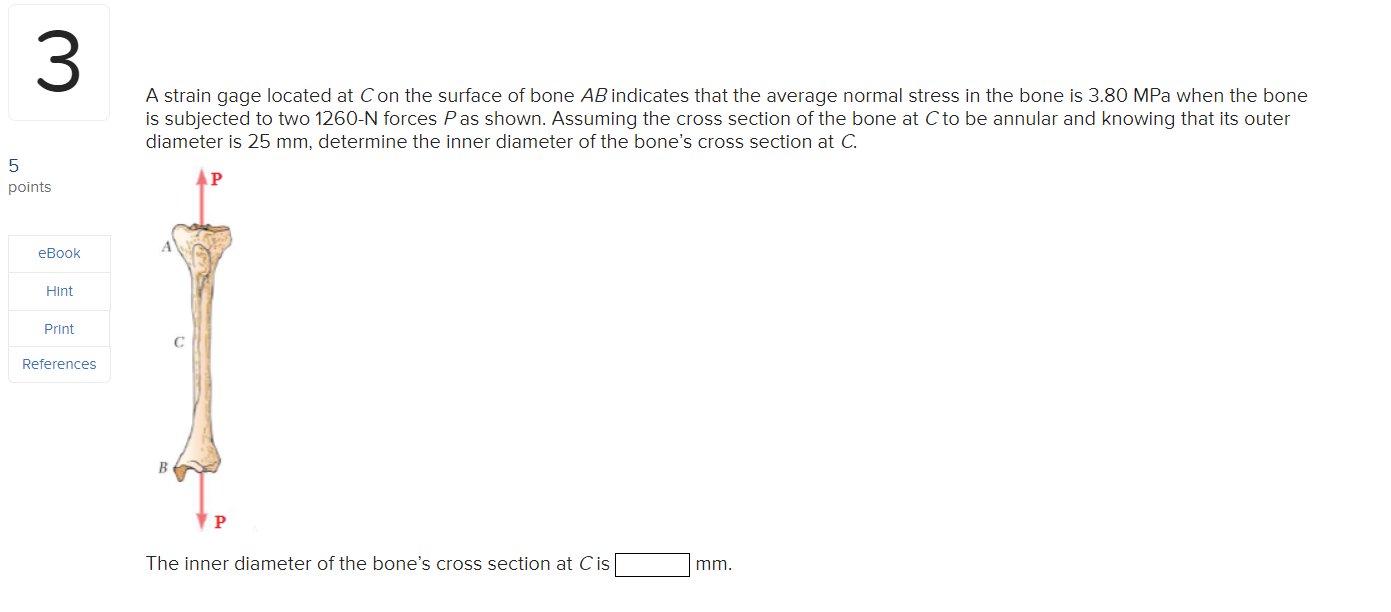 Solved A strain gage located at C on the surface of bone AB | Chegg.com