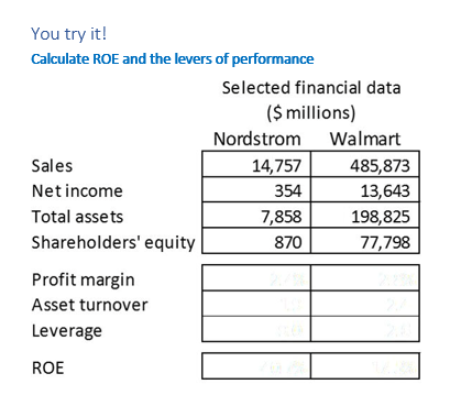 Solved You try it! Calculate ROE and the levers of | Chegg.com