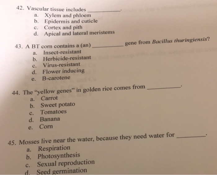 Solved 42. Vascular tissue includes a. Xylem and phloem b. | Chegg.com
