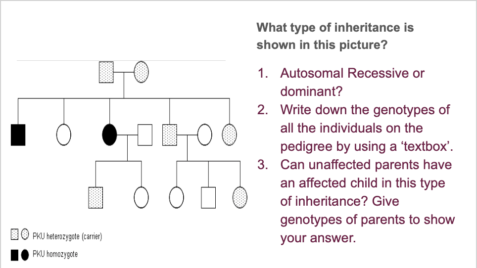 Solved What type of inheritance is shown in this picture? | Chegg.com